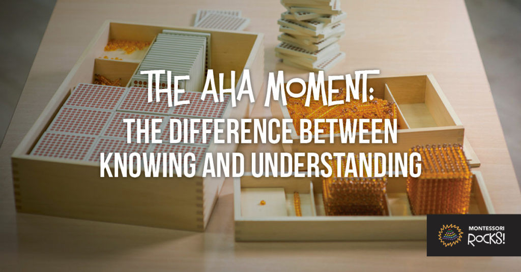 The Aha Moment: The Difference Between Knowing and Understanding ...