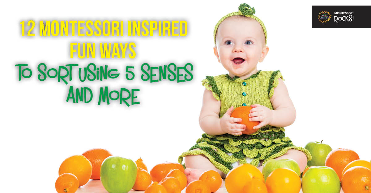12 Montessori Inspired Fun Ways to Sort Using 5 Senses - Montessori Rocks