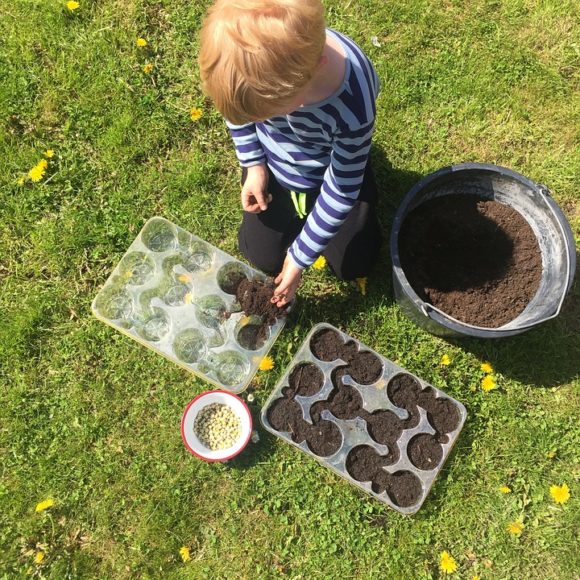 How to Make a Vegetable Garden for Kids - Montessori Rocks